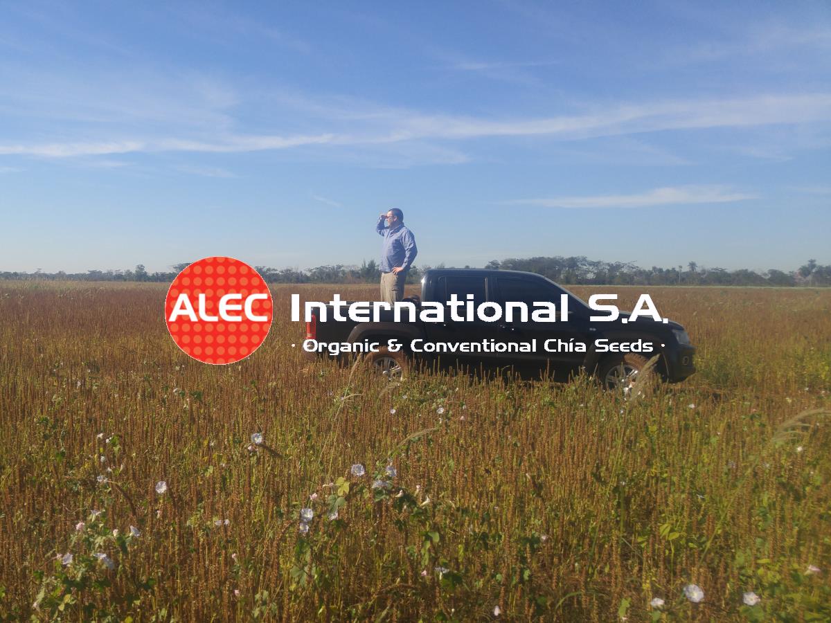 ALEC International S.A. | ConnectAmericas