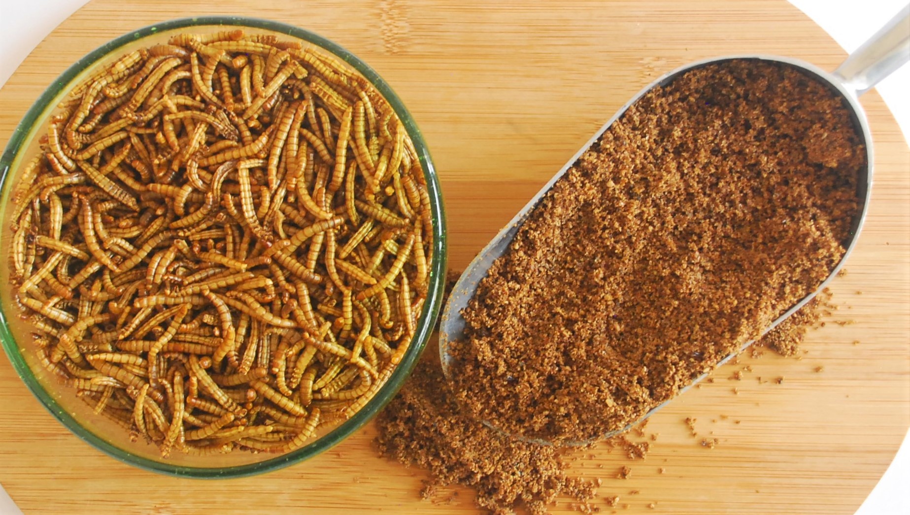 OptiProt | ConnectAmericas