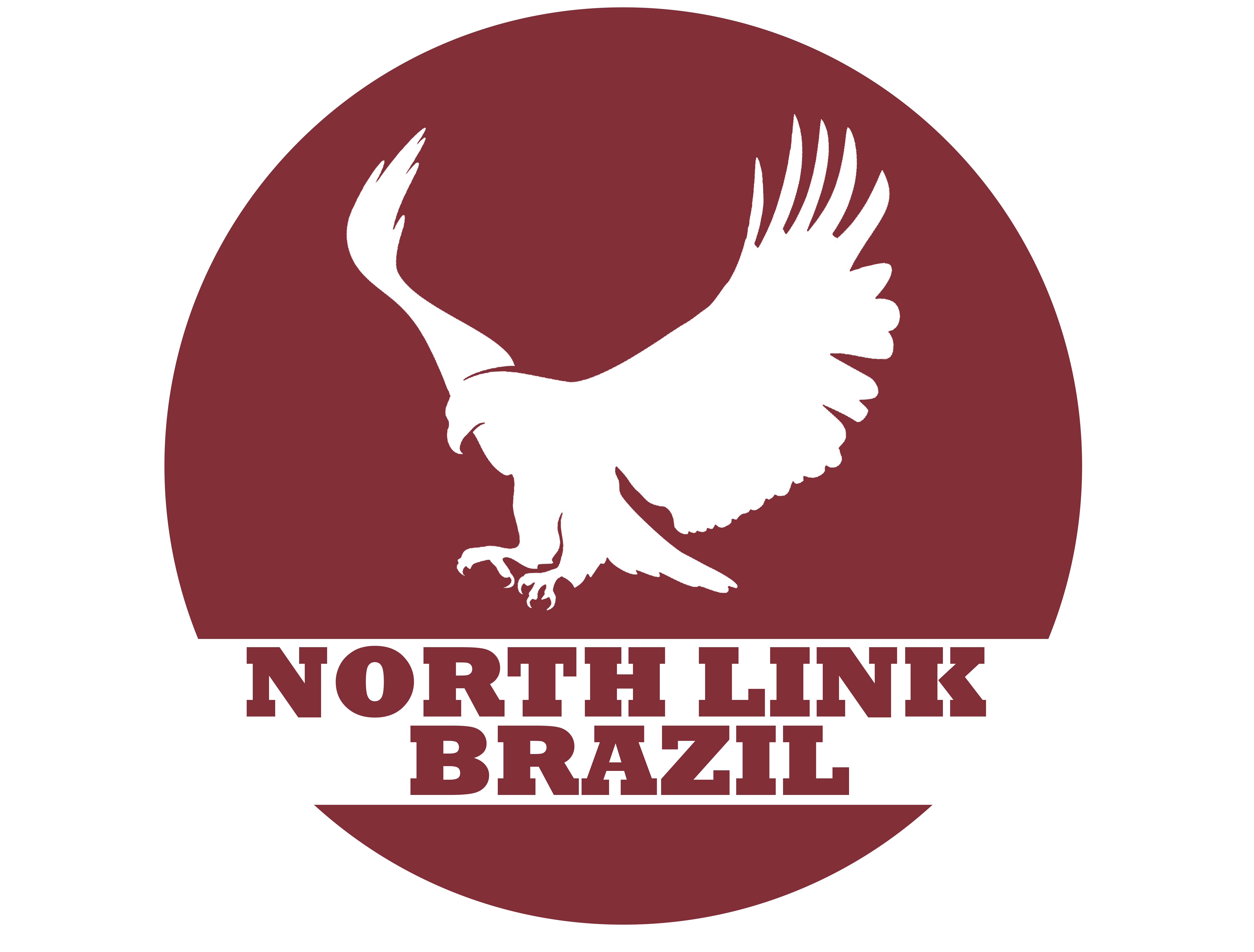 NORTHLINK BRAZIL | ConnectAmericas