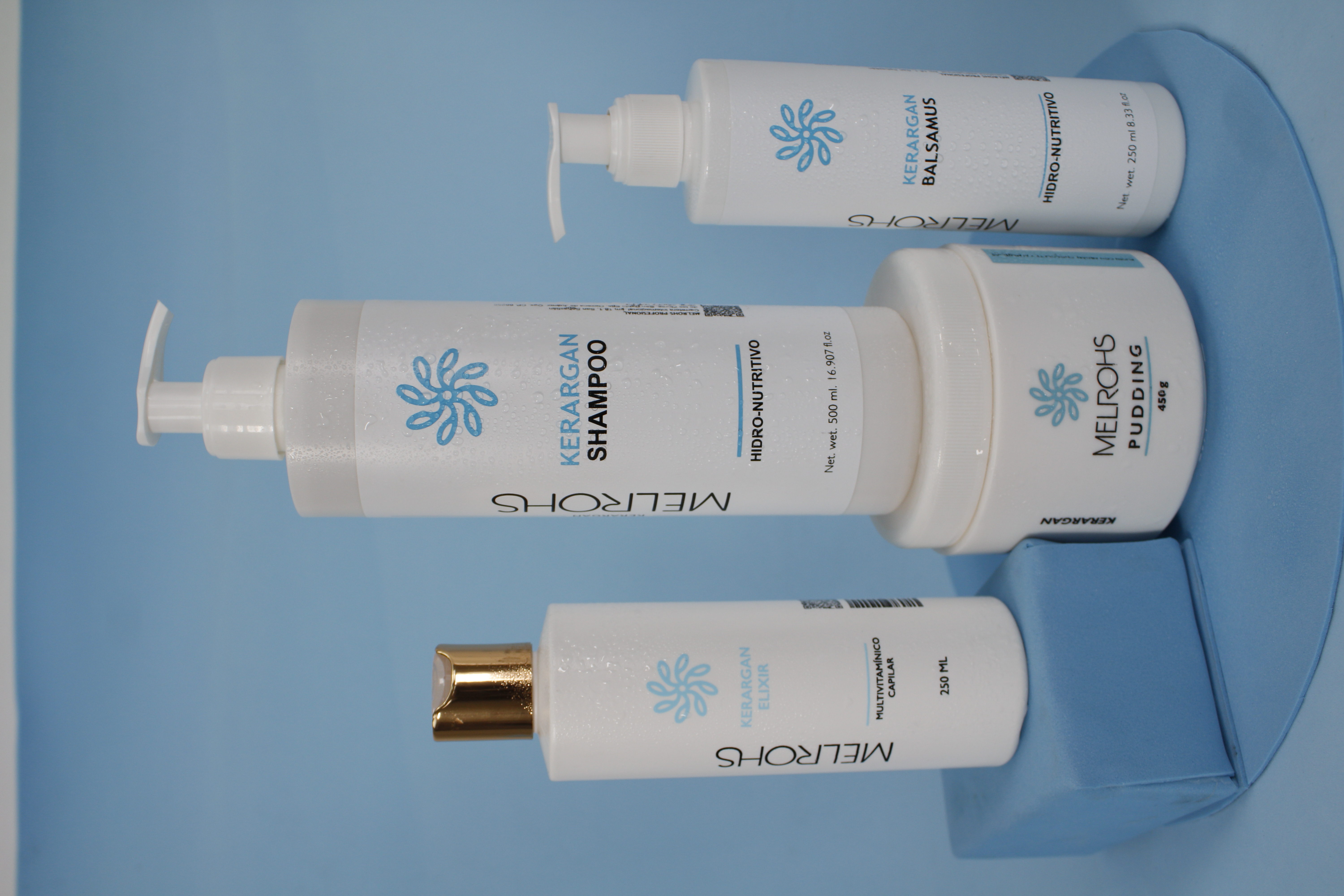 Melrohs Profesional | ConnectAmericas