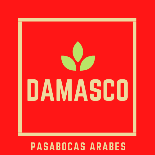 DAMASCO | ConnectAmericas